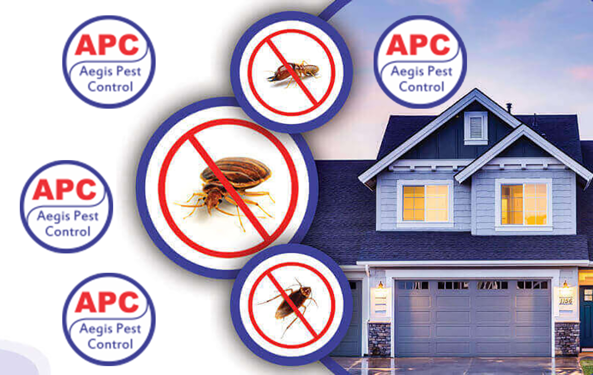 Best Pest Control Services In Ghatkopar - Mumbai - AEGIS Care