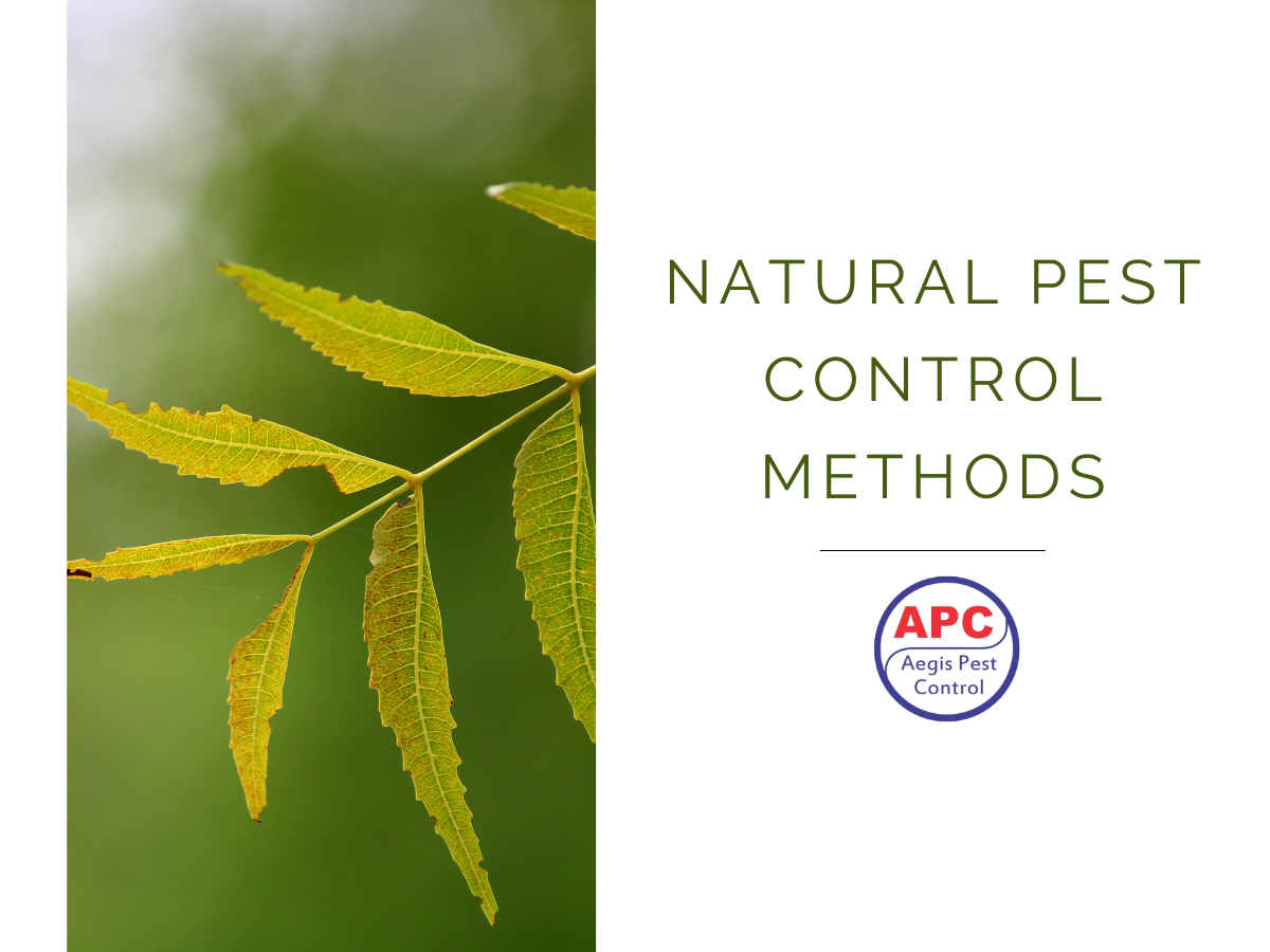 Natural Pest control Methods - Organic Methods Natural Pest control Methods - Organic Methods